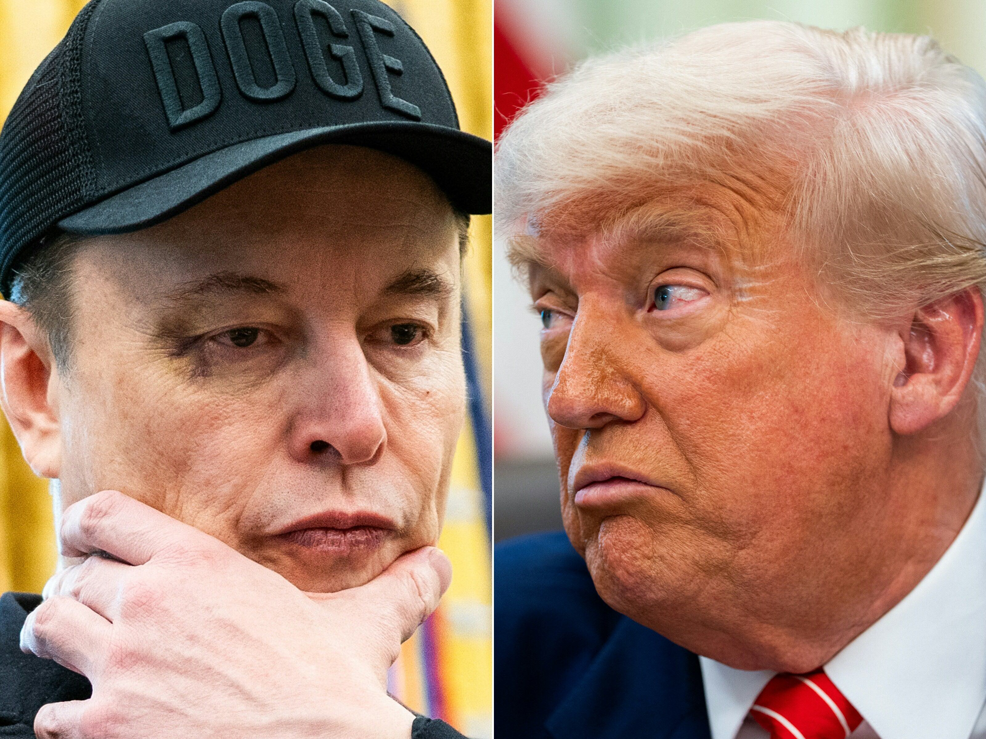 La guerra de guerras: así es la historia de como Elon Musk y Donald ...
