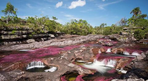 ¿Cuál es la mejor época para visitar Caño Cristales y cómo se llega al ...