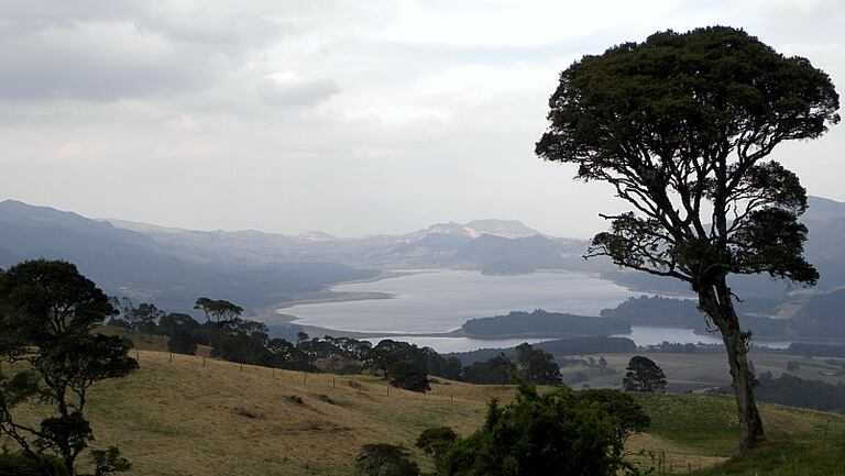 ¿Qué se puede hacer en el Embalse del Neusa y cuánto cuesta la entrada ...
