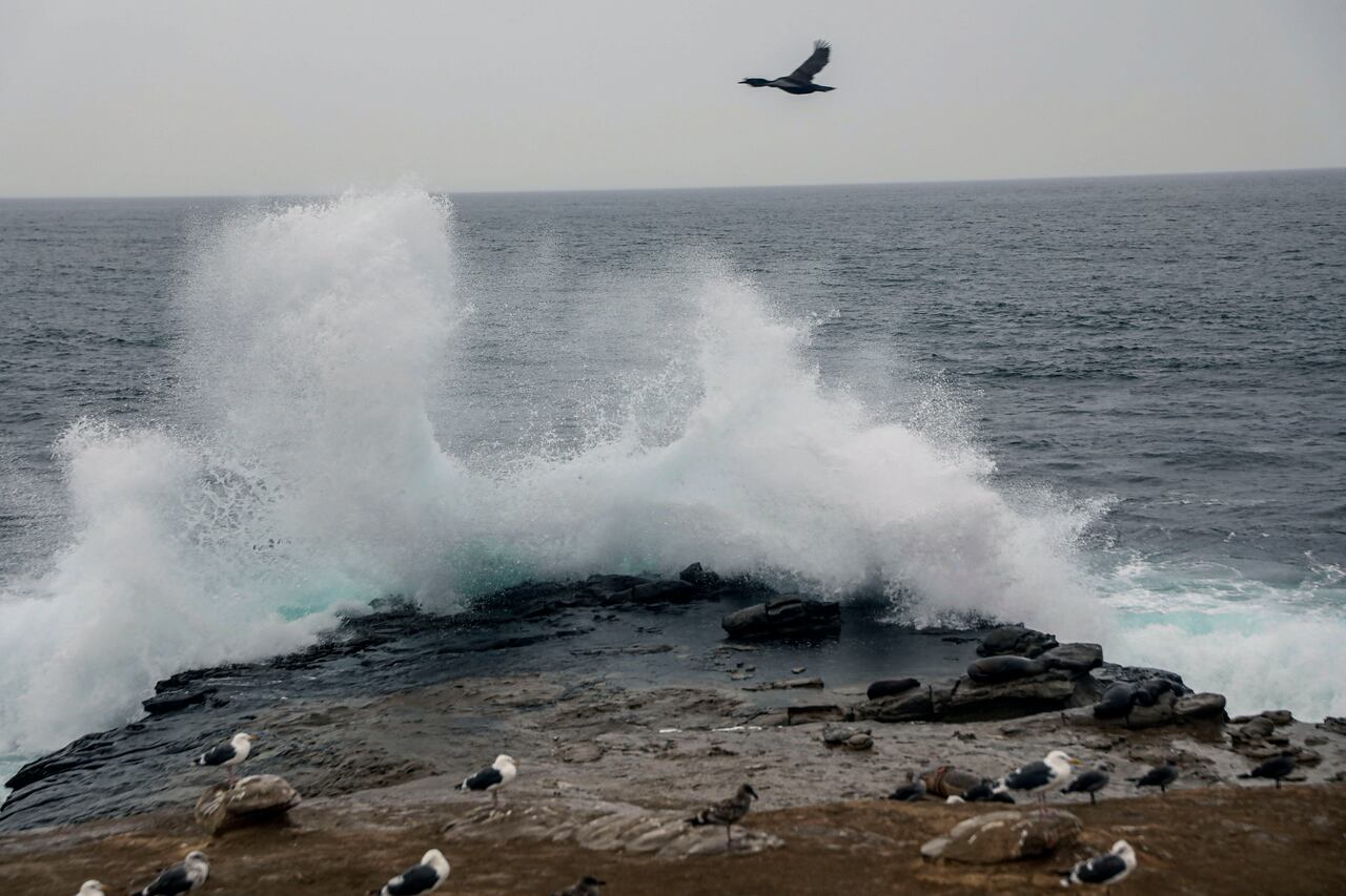 Tormenta tropical Bret: Colombia entra en estado de alistamiento; estos ...
