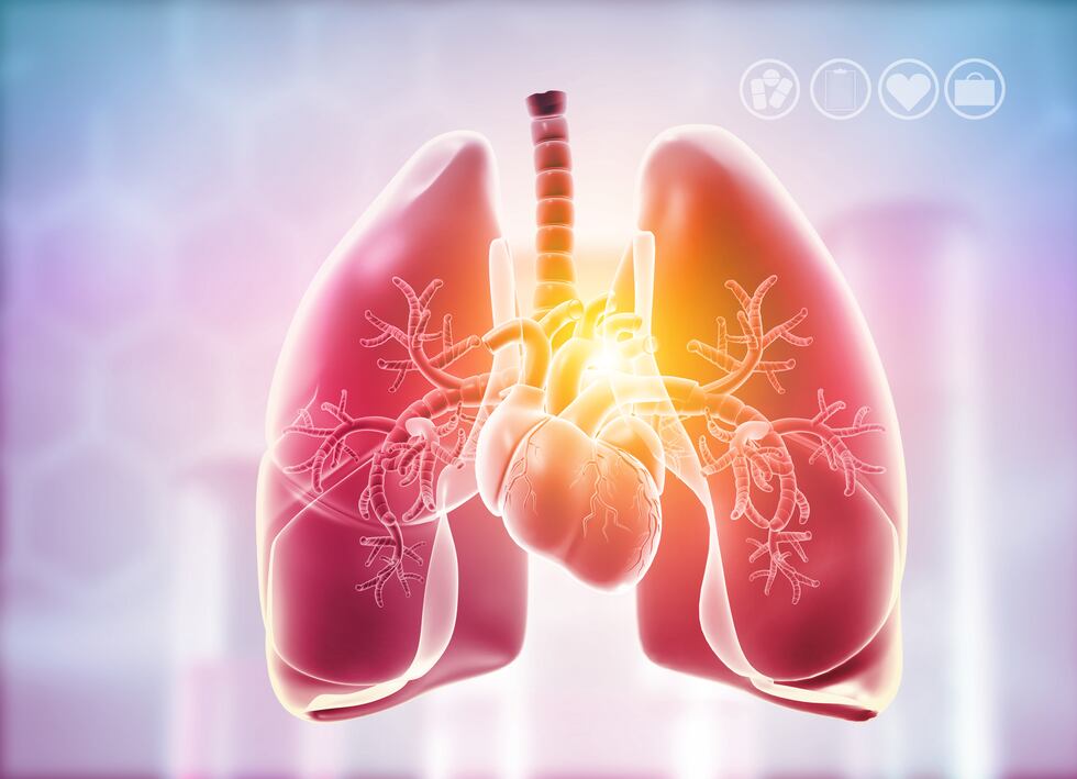 ¿Cuáles son los síntomas de la inflamación pulmonar y de qué enfermedad ...