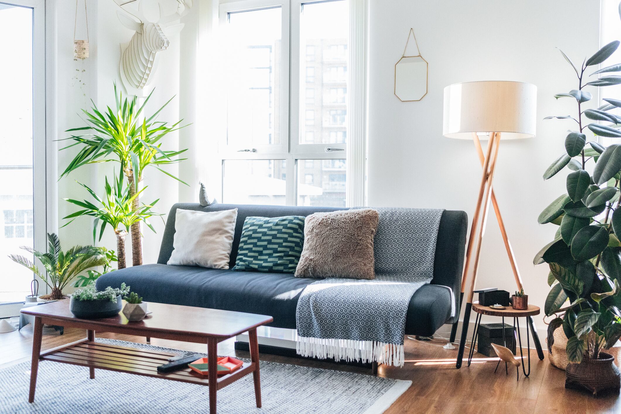 ¿Qué colores debe tener la decoración de la casa para atraer dinero?