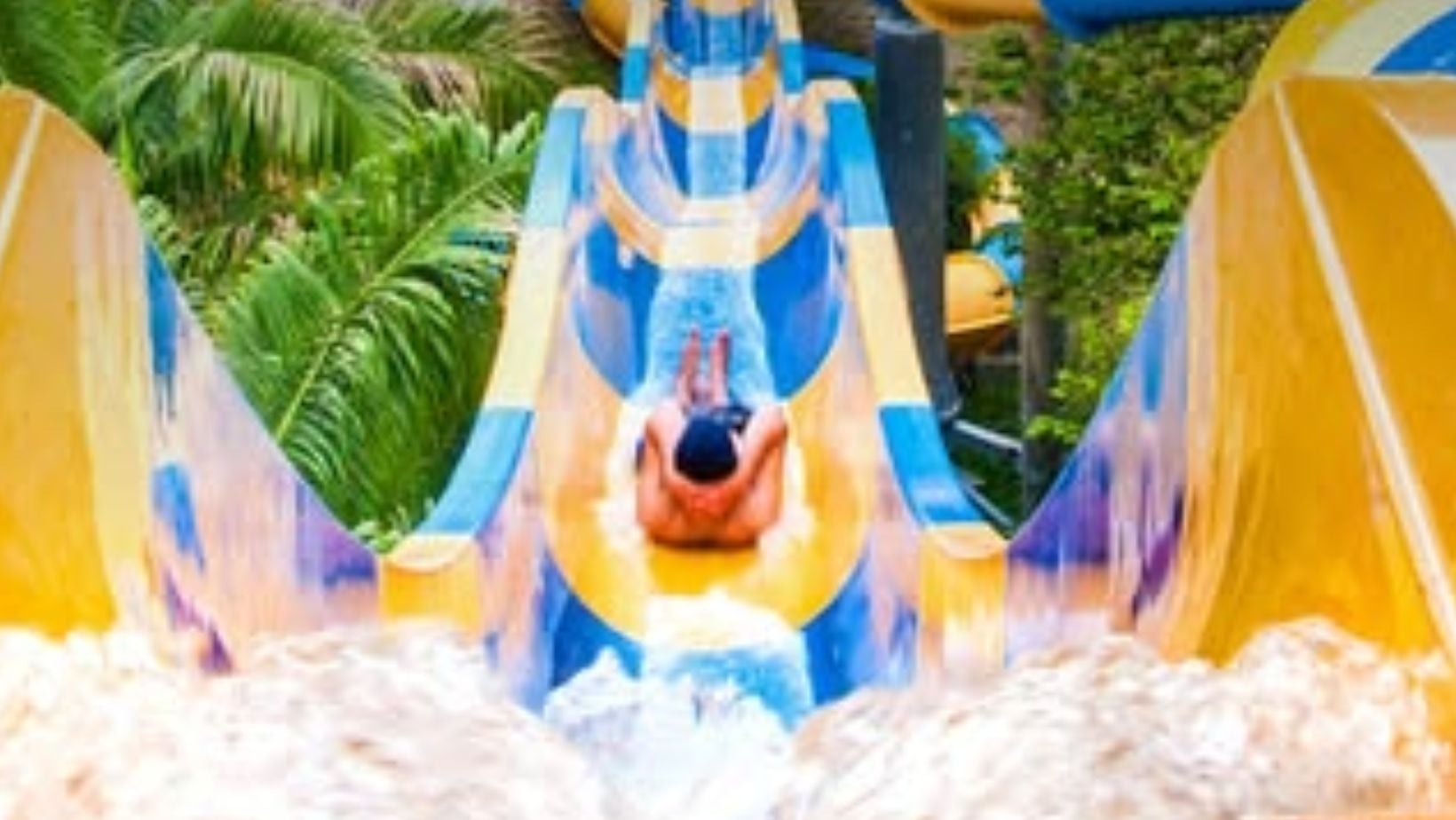 Piscilago: ¿Cuánto vale la entrada a este popular parque acuático y ...