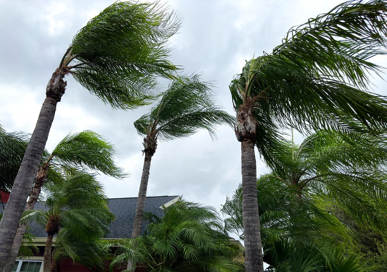 Alerta en el Caribe colombiano por vientos fuertes y oleaje de hasta 4 ...