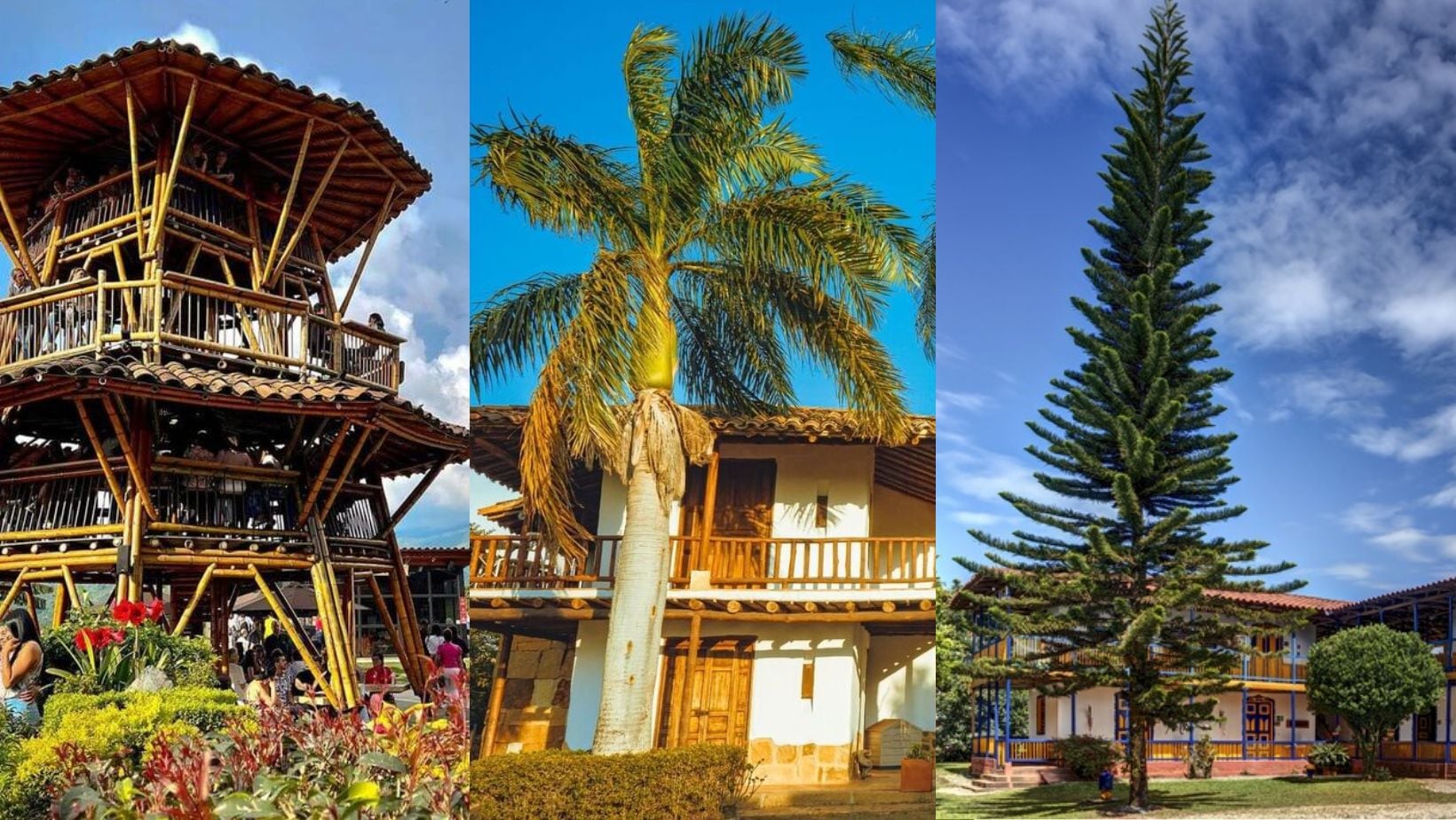 Las 5 fincas cafeteras imperdibles para visitar en Colombia y disfrutar ...